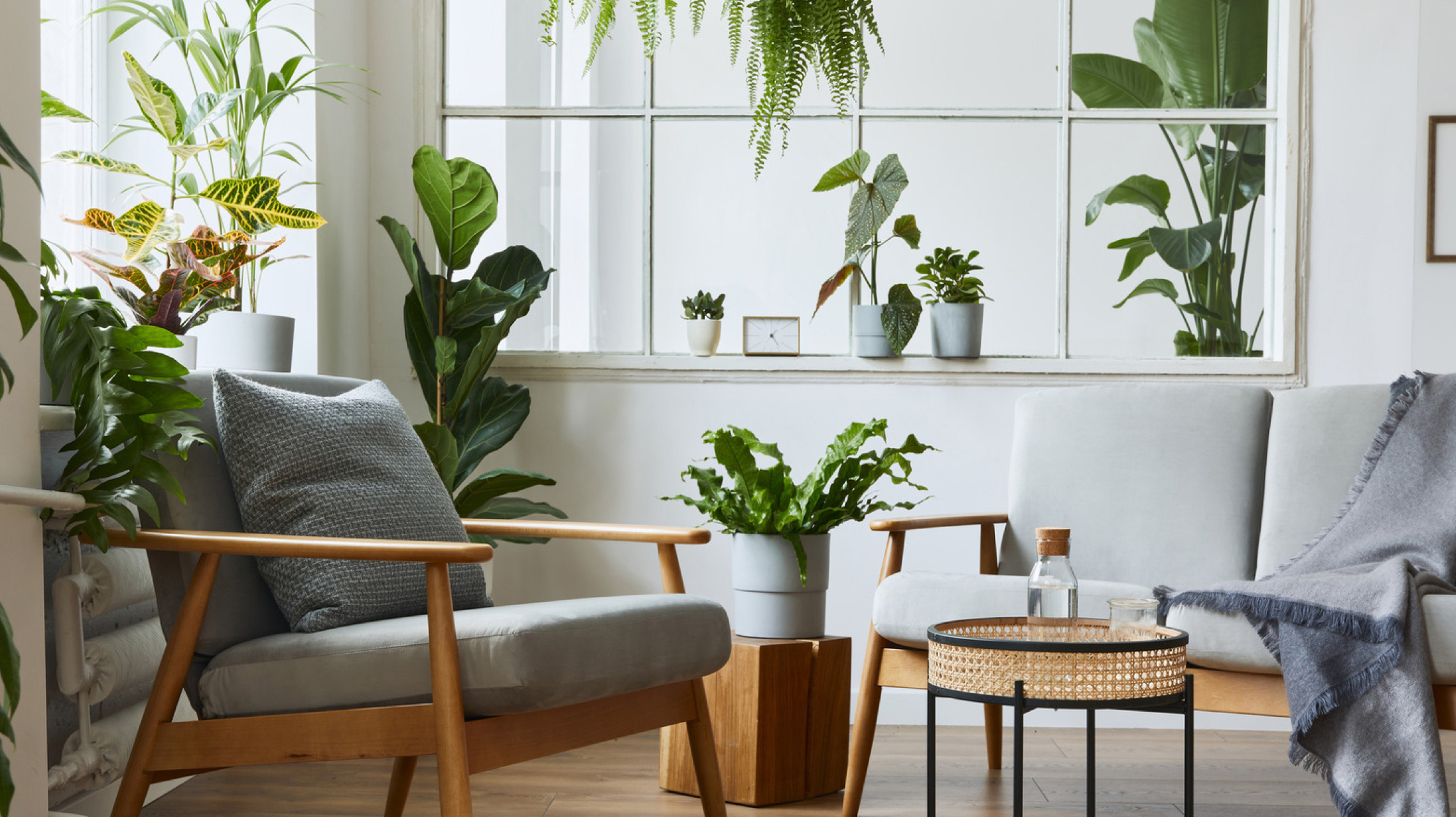 SCHÖNER WOHNEN FARBE: Grüner Trend: Greenterior