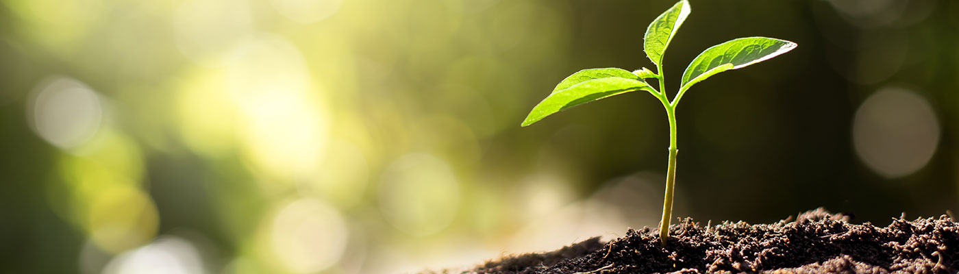 SCHÖNER WOHNEN FARBE: Ressourcen schonen